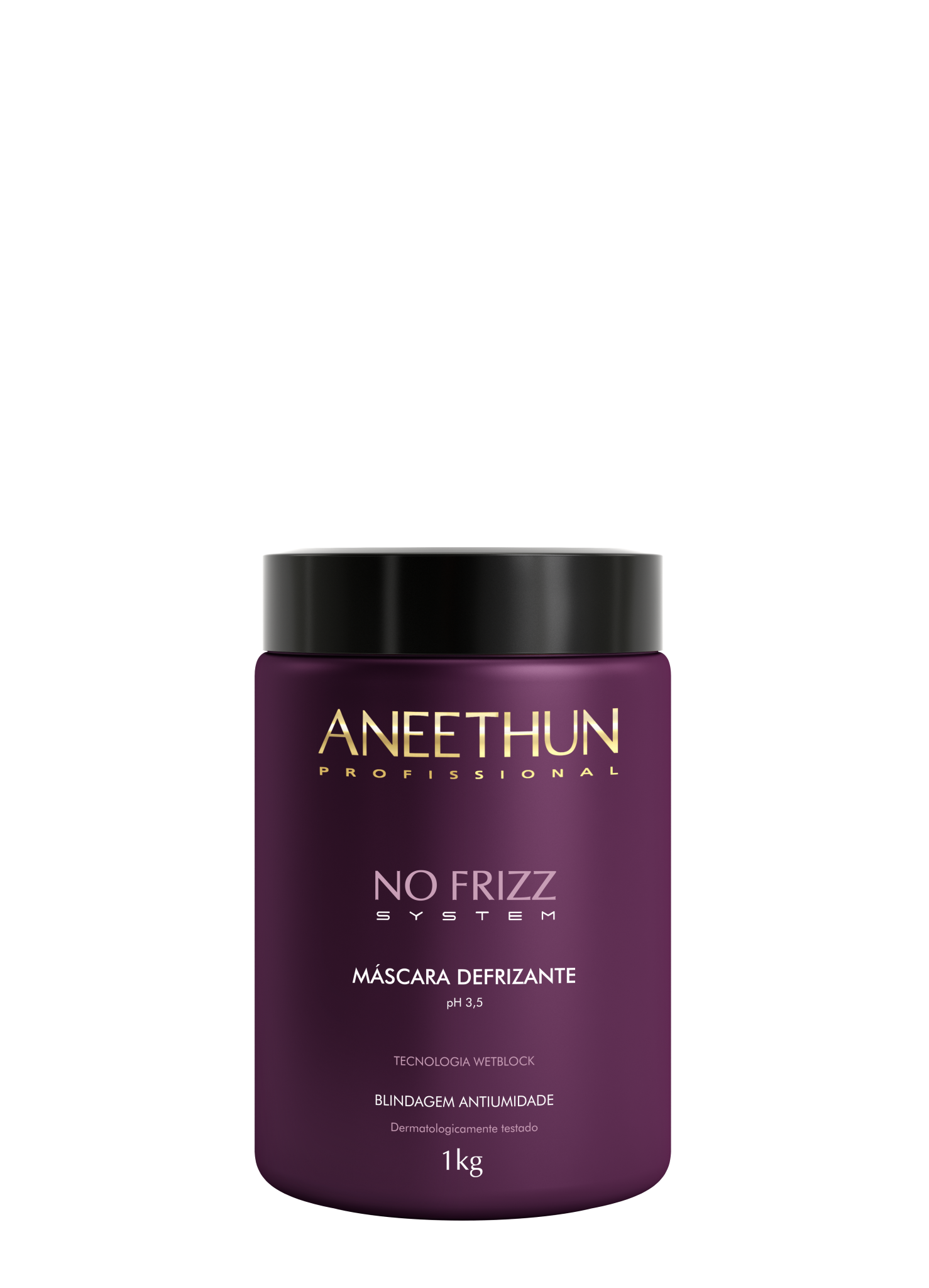 No Frizz System - Aneethun Profissional