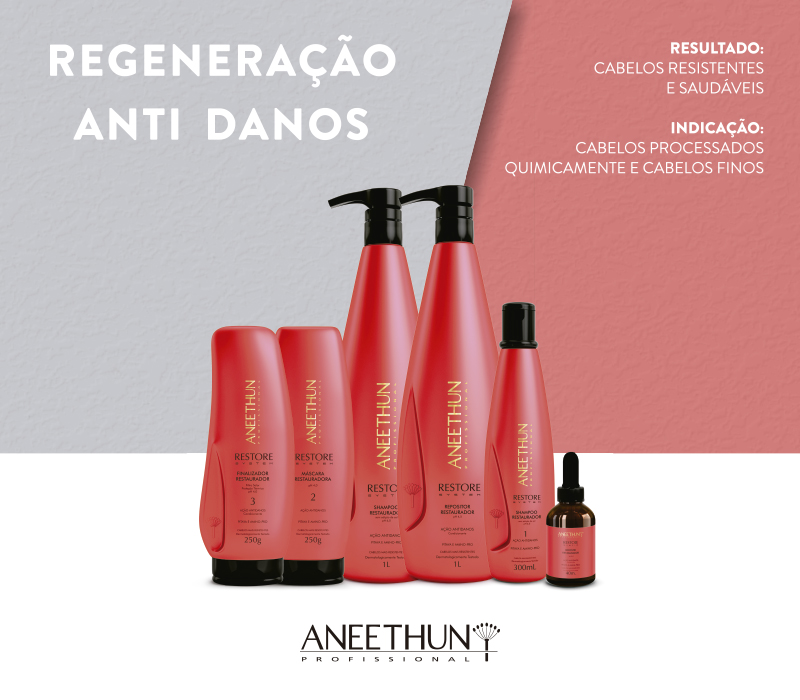 Restore System - Aneethun Profissional